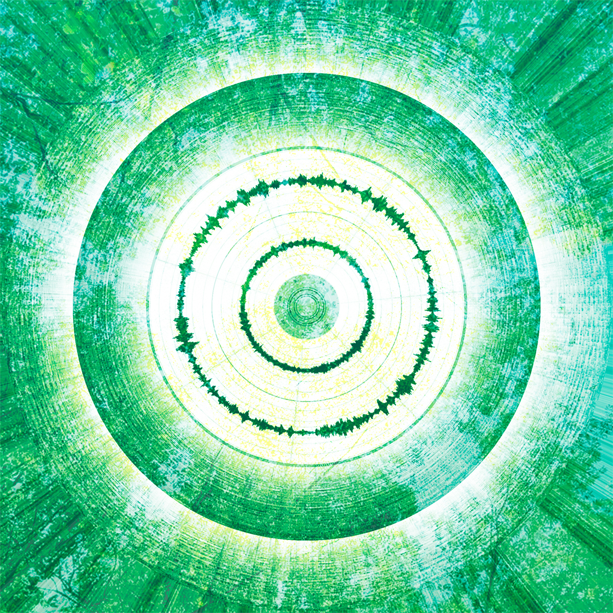 Aric Attas // Symbiotic: Winter Song – Tree Music in the Garden | PAAM