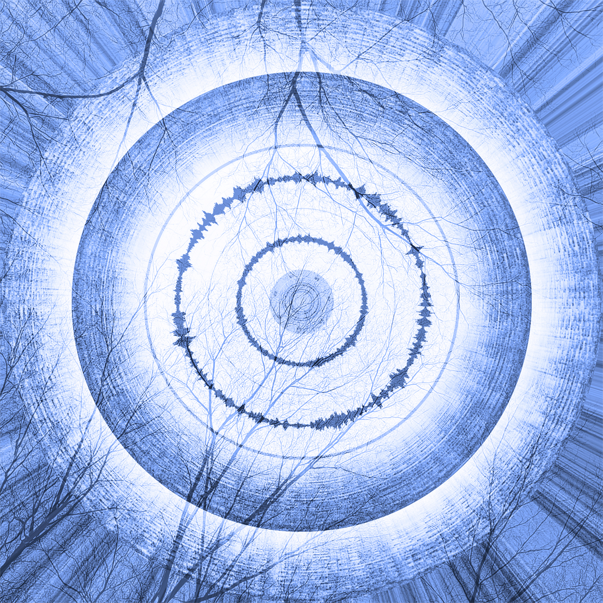 Aric Attas // Symbiotic: Winter Song – Tree Music in the Garden | PAAM